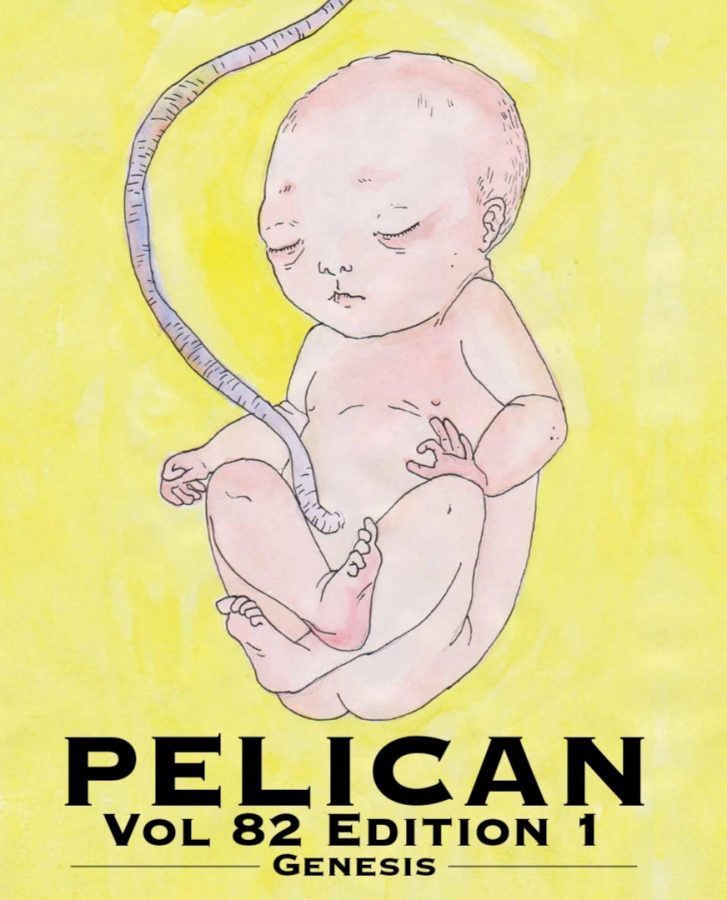 genesis cover – Pelican