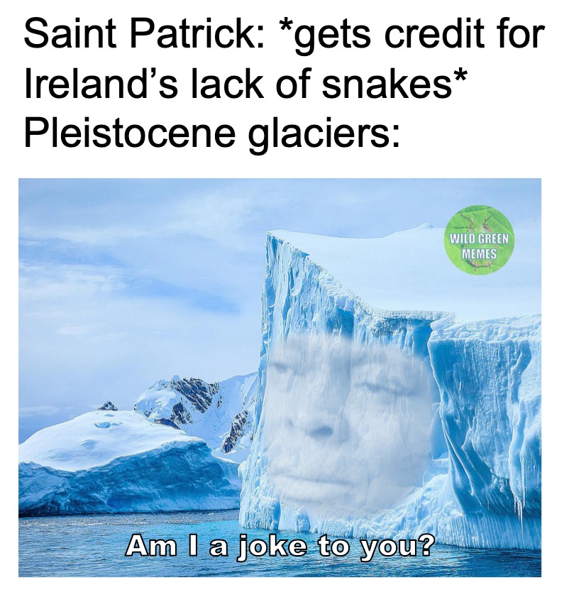Glazier Memes